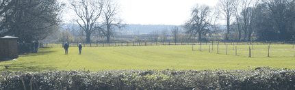 Covid-19 | George Pender